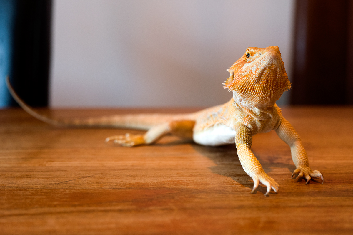 Jayden Ordoñez – Op bezoek bij